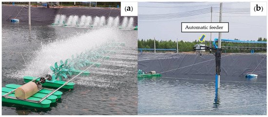 Water | Free Full-Text | Comparison of Water Quality Prediction for Red ...