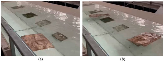 Predicting Epipelic Algae Transport in Open Channels: A Flume Study to ...