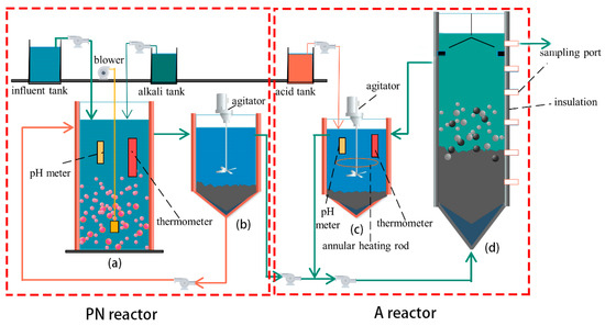 Start-Up Performance and Process Kinetics of a Two-Stage Partial ...