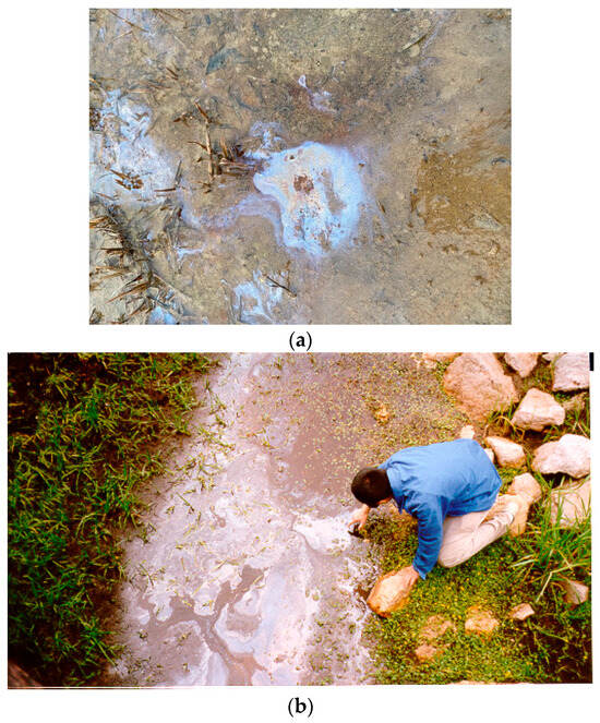 Water | Free Full-Text | Films Floating on Water Surface: Coupled Redox Cycling of Iron Species ...