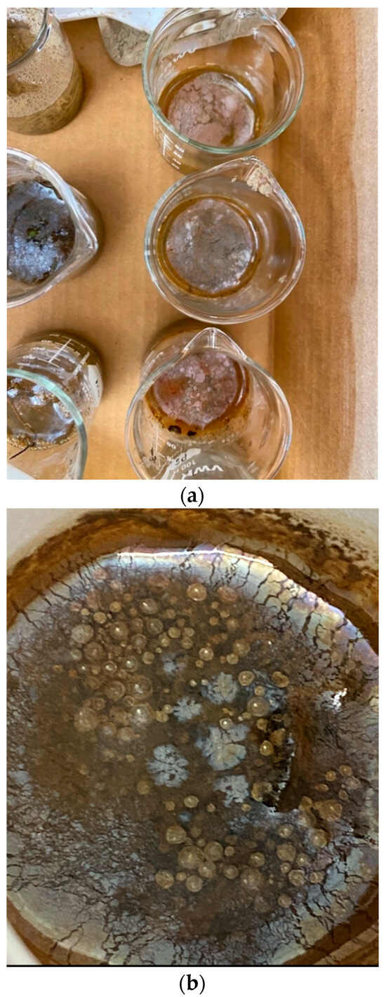 Water | Free Full-Text | Films Floating on Water Surface: Coupled Redox Cycling of Iron Species ...