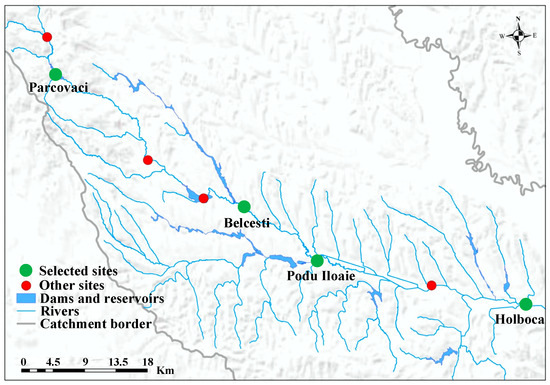 Linking Nutrient Dynamics with Urbanization Degree and Flood Control ...