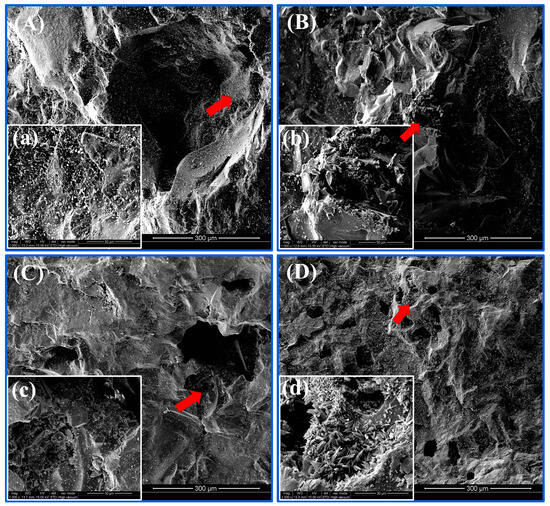 Synergistic Removal of Nitrogen and Phosphorus in Constructed Wetlands ...