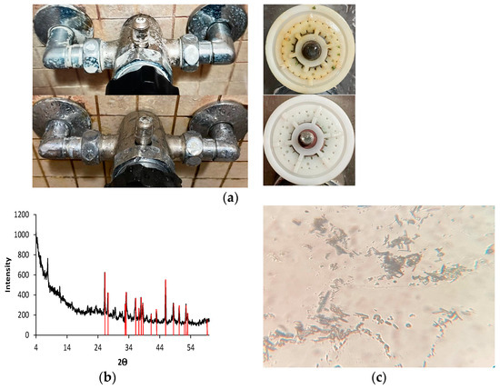 Analysis of Calcium Carbonate Scales in Water Distribution Systems and ...