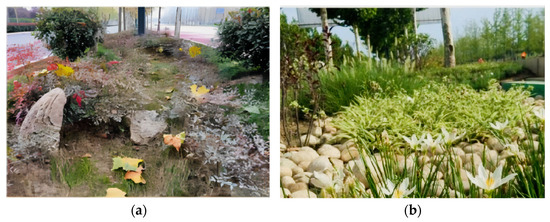 Exploring Herbaceous Plant Biodiversity Design in Chinese Rain Gardens ...