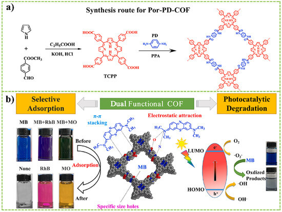 Water | Free Full-Text | In-Depth Photocatalytic Degradation Mechanism of the Extensively Used ...
