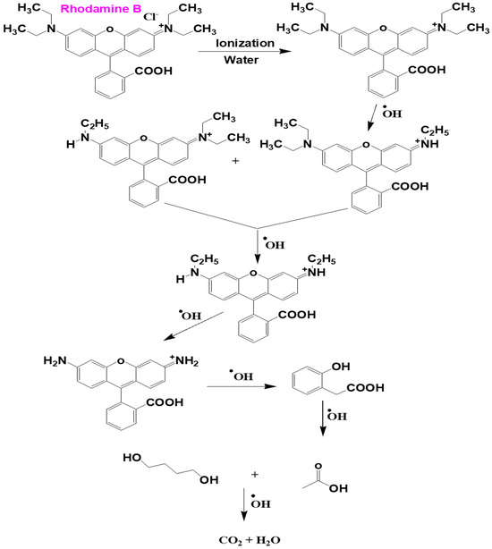 Water | Free Full-Text | In-Depth Photocatalytic Degradation Mechanism of the Extensively Used ...