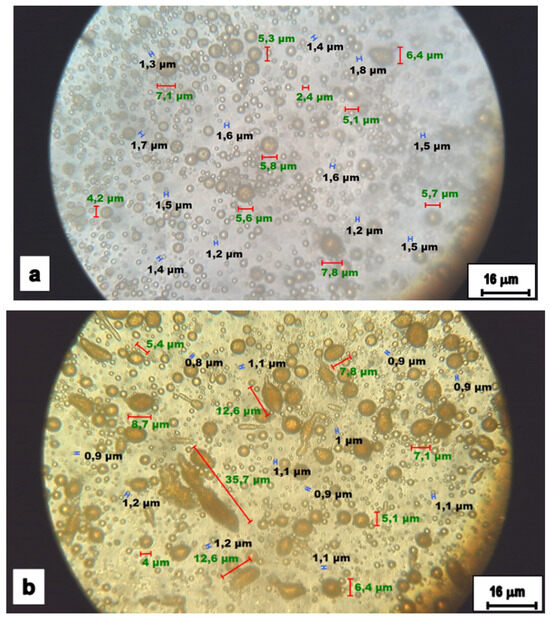 Mechanism of Crude Oil Biodegradation in Bioreactors: A Model Approach