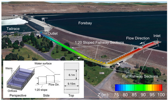 Assessing Zebra Mussels’ Impact on Fishway Efficiency: McNary Lock and ...