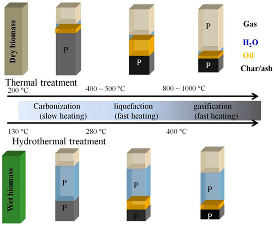 Hydrothermal Carbonization Technology for Wastewater Treatment under ...