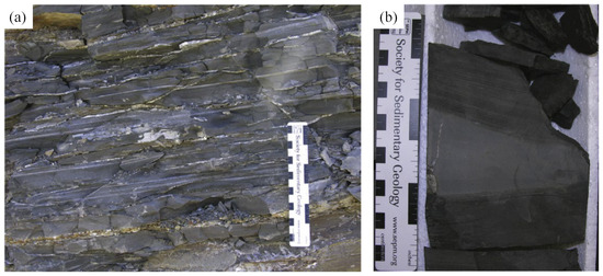 Water | Free Full-Text | Modeling the Hydraulic Fracturing Processes in Shale Formations Using a ...