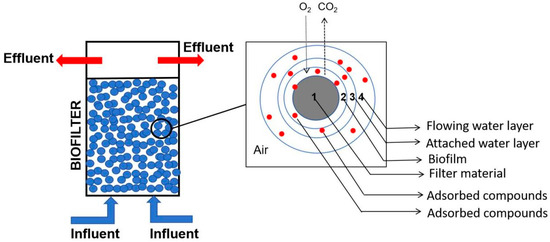 Recent Advances in Biofiltration for PPCP Removal from Water