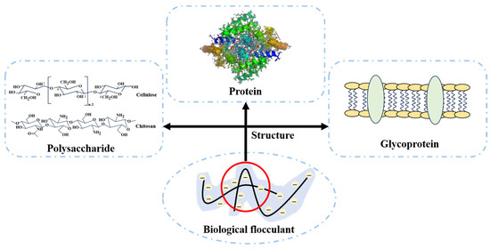Unraveling the Potential of Microbial Flocculants: Preparation ...