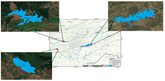 Applying Microbial Source Tracking Techniques for Identification of ...