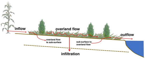 A Comprehensive Review on Ecological Buffer Zone for Pollutants Removal