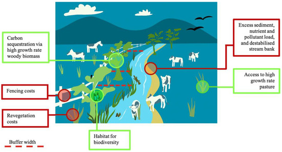 A Comprehensive Review on Ecological Buffer Zone for Pollutants Removal