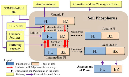 A Comprehensive Review on Ecological Buffer Zone for Pollutants Removal
