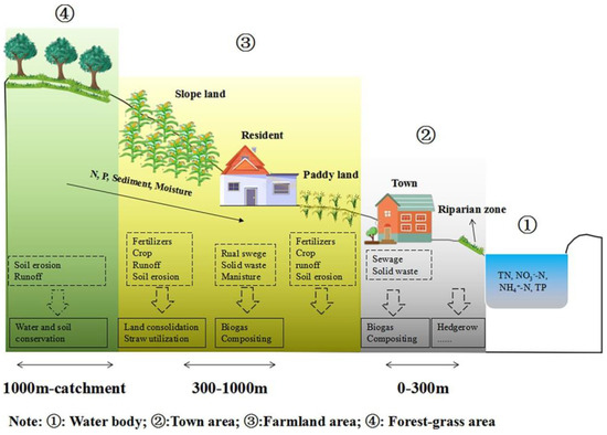 A Comprehensive Review on Ecological Buffer Zone for Pollutants Removal