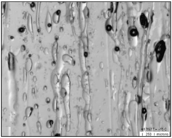 Analysis of the Role of Aquatic Gases in the Formation of Sea-Ice Porosity