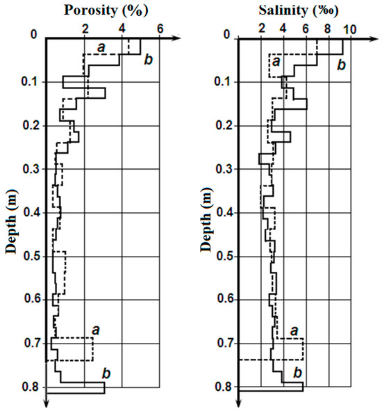 Analysis of the Role of Aquatic Gases in the Formation of Sea-Ice Porosity