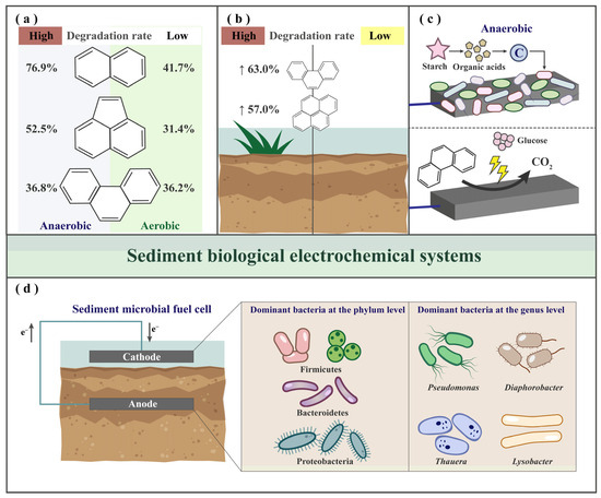 Water | Free Full-Text | The Degradation of Polycyclic Aromatic Hydrocarbons by Biological ...