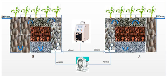 Optimized Design of Modular Constructed Wetland for Treating Rural ...