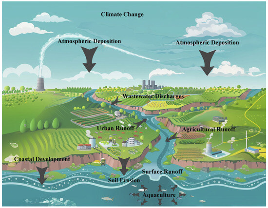 Harmful Algal Blooms in Eutrophic Marine Environments: Causes ...