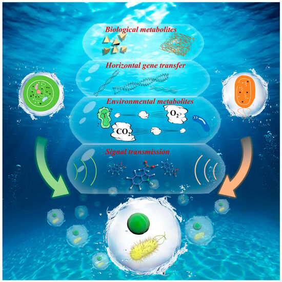 Microalgal–Bacteria Biofilm in Wastewater Treatment: Advantages ...