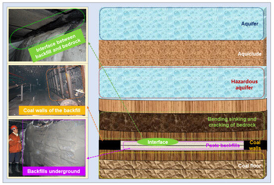 Evolution and Quantitative Characterization of Stress and Displacement ...