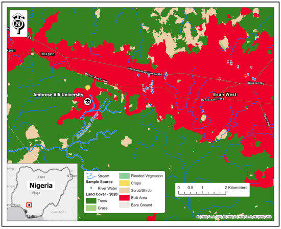 Detection and Measurement of Bacterial Contaminants in Stored River ...
