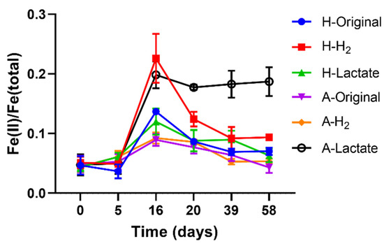 Biogeochemical Fe-Redox Cycling in Oligotrophic Deep-Sea Sediment