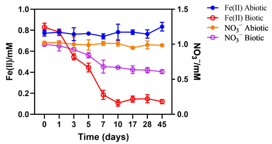 Biogeochemical Fe-Redox Cycling in Oligotrophic Deep-Sea Sediment