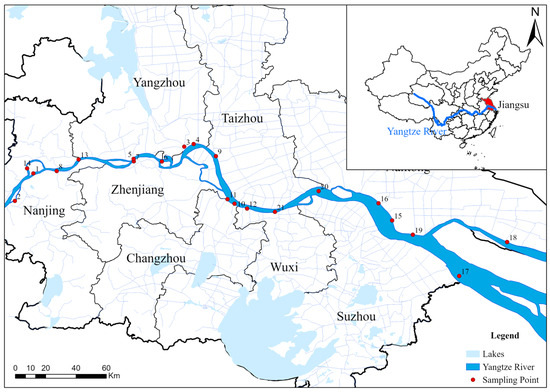 Characteristics and Driving Factors of Benthic Animal Communities in ...