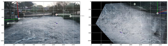 Non-Intrusive Water Surface Velocity Measurement Based on Deep Learning