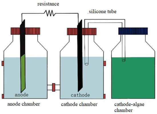 A Novel Algal–Algal Microbial Fuel Cell for Enhanced Chemical Oxygen ...