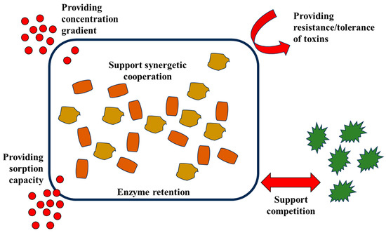 Extracellular Polymeric Substances A Review On The Roles Of