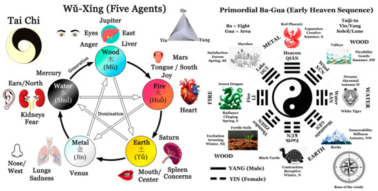 Water and the Origin of Life