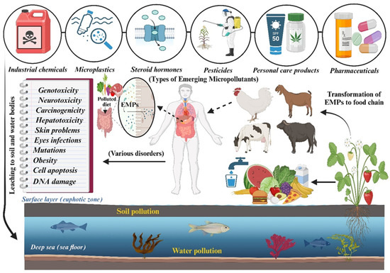 Sustainable Wastewater Treatment Strategies in Effective Abatement of ...