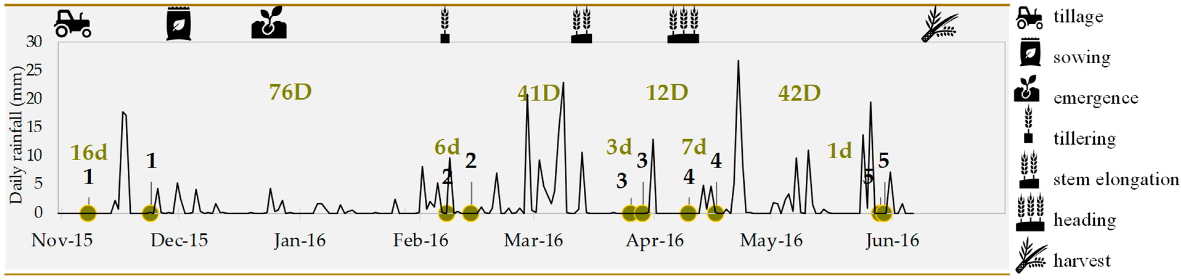Applying a Comprehensive Model for Single-Ring Infiltration: Assessment ...