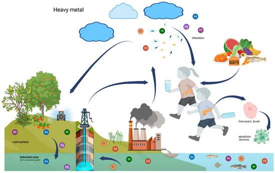 The Presence of Heavy Metals in Drinking Water and Its Possible Impact ...