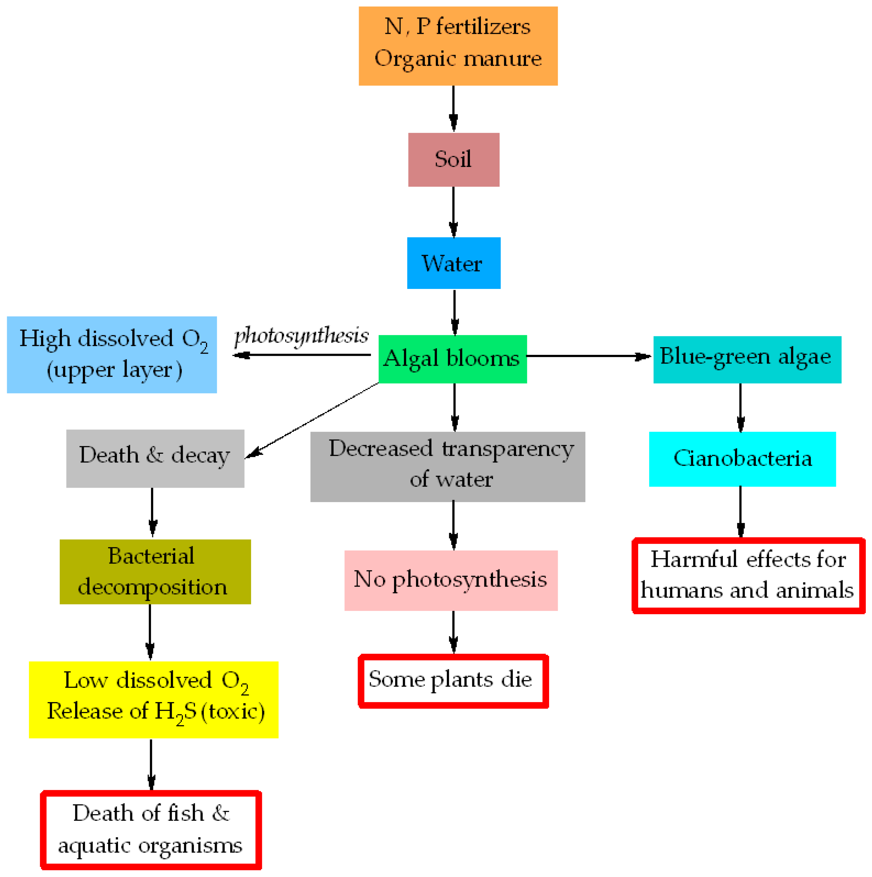Nutrient Water Pollution from Unsustainable Patterns of Agricultural ...