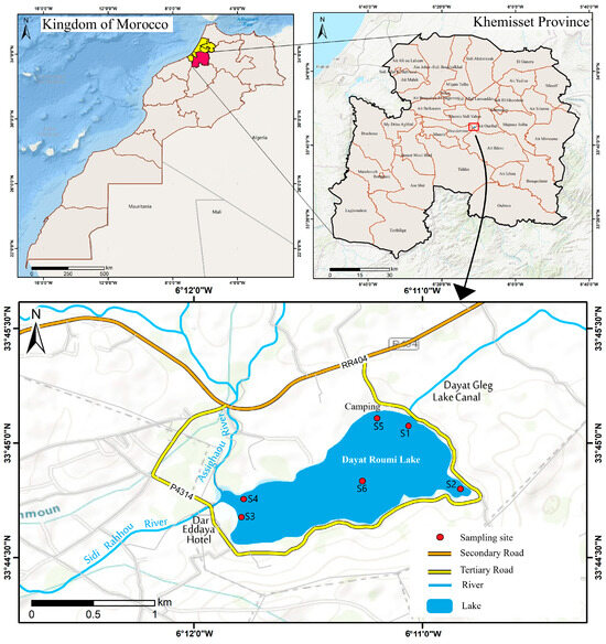 Health Risk Assessment of Trace Elements in Surface Water from Dayat ...