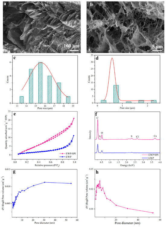 Egg White Protein–Soybean Protein Isolate Hierarchical Network Hydrogel ...