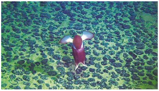 A Review of Plume Research in the Collection Process of Deep-Sea ...