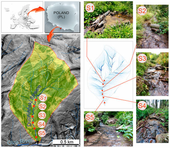 Factors Diversifying the Characteristics of Fluvial Sediments ...