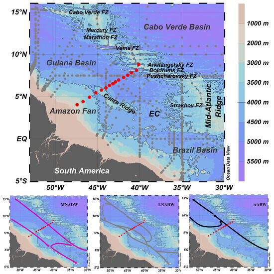 Water Masses of the Guiana Basin