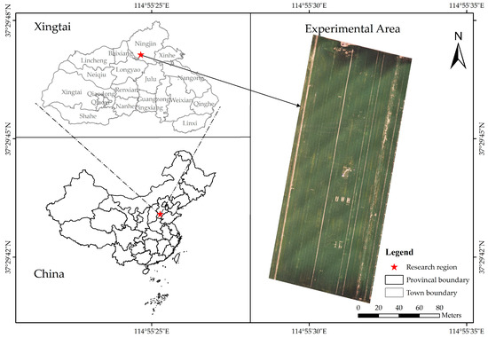 Estimation of Water Interception of Winter Wheat Canopy Under Sprinkler ...