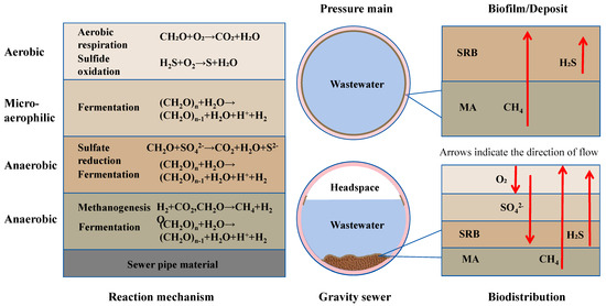 Methane Production Mechanism and Control Strategies for Sewers: A ...