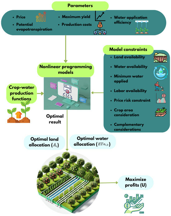 Optimization of Water and Land Allocation in Fruit Orchards over a 20 ...