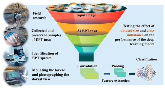 The Effects of Data Quality on Deep Learning Performance for Aquatic ...